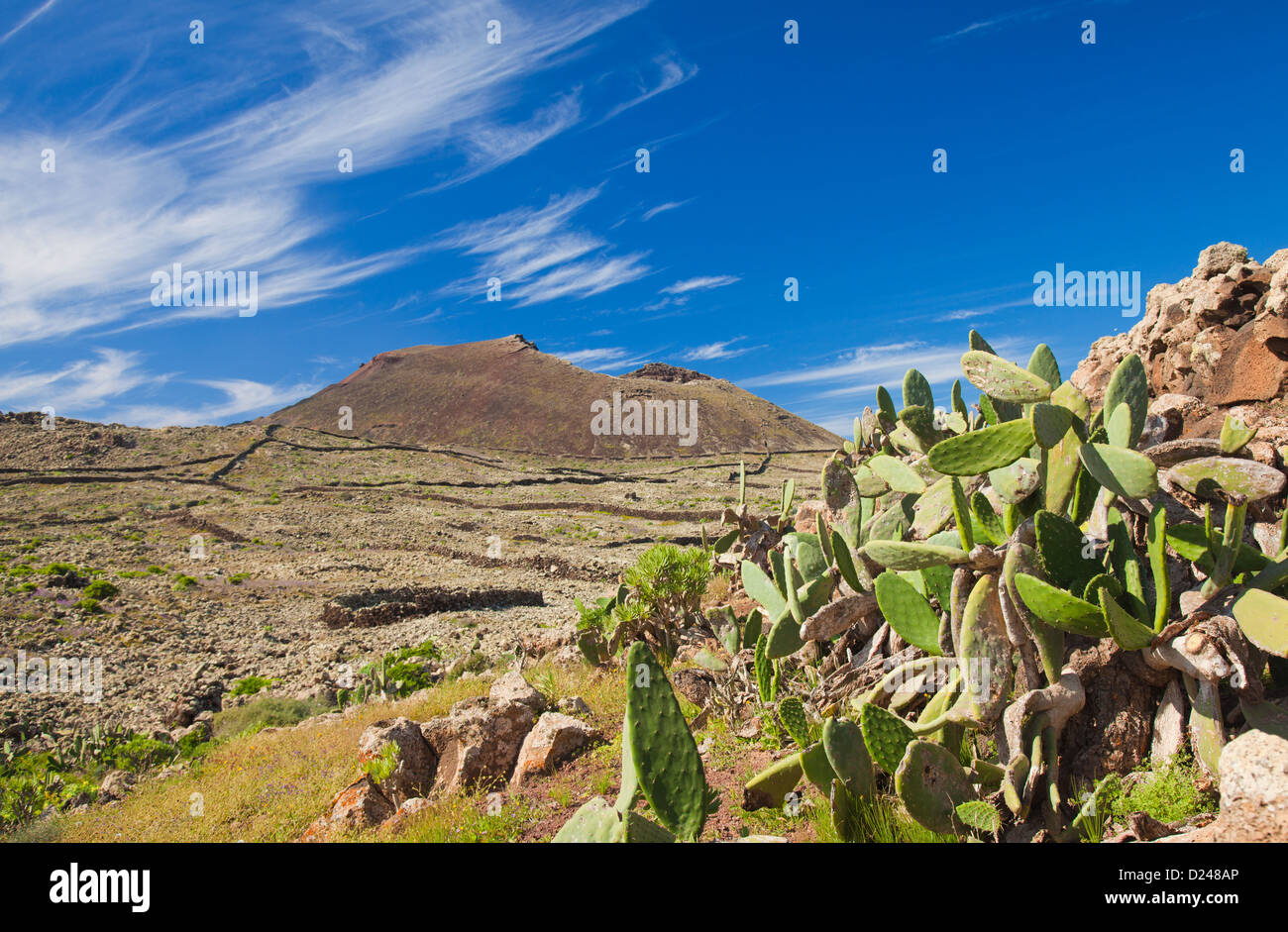 inland northern Fuerteventura, rock formations in Malpais de la Arena ...