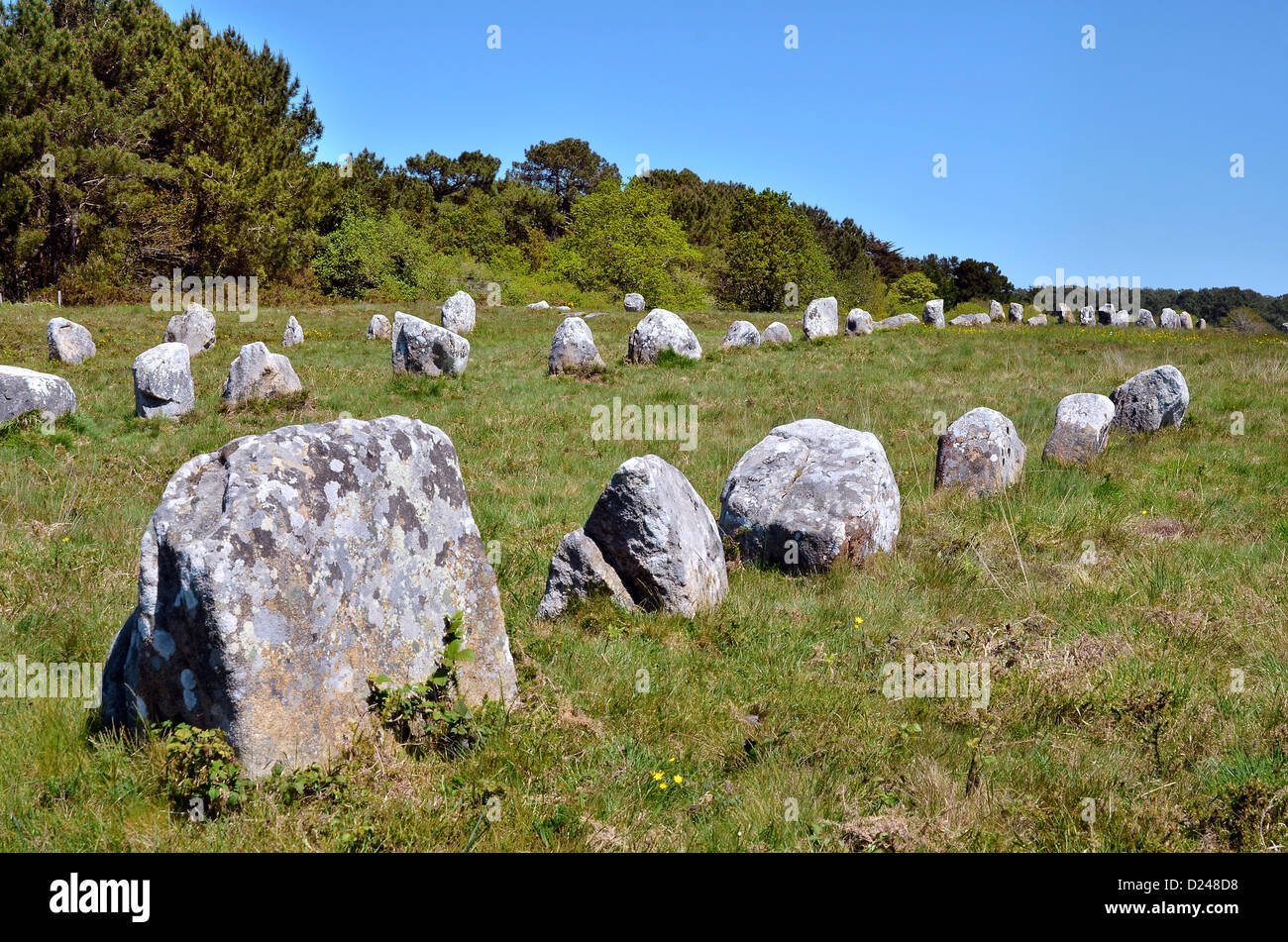 Famous standing stones at Carnac in the Morbihan department in Brittany ...