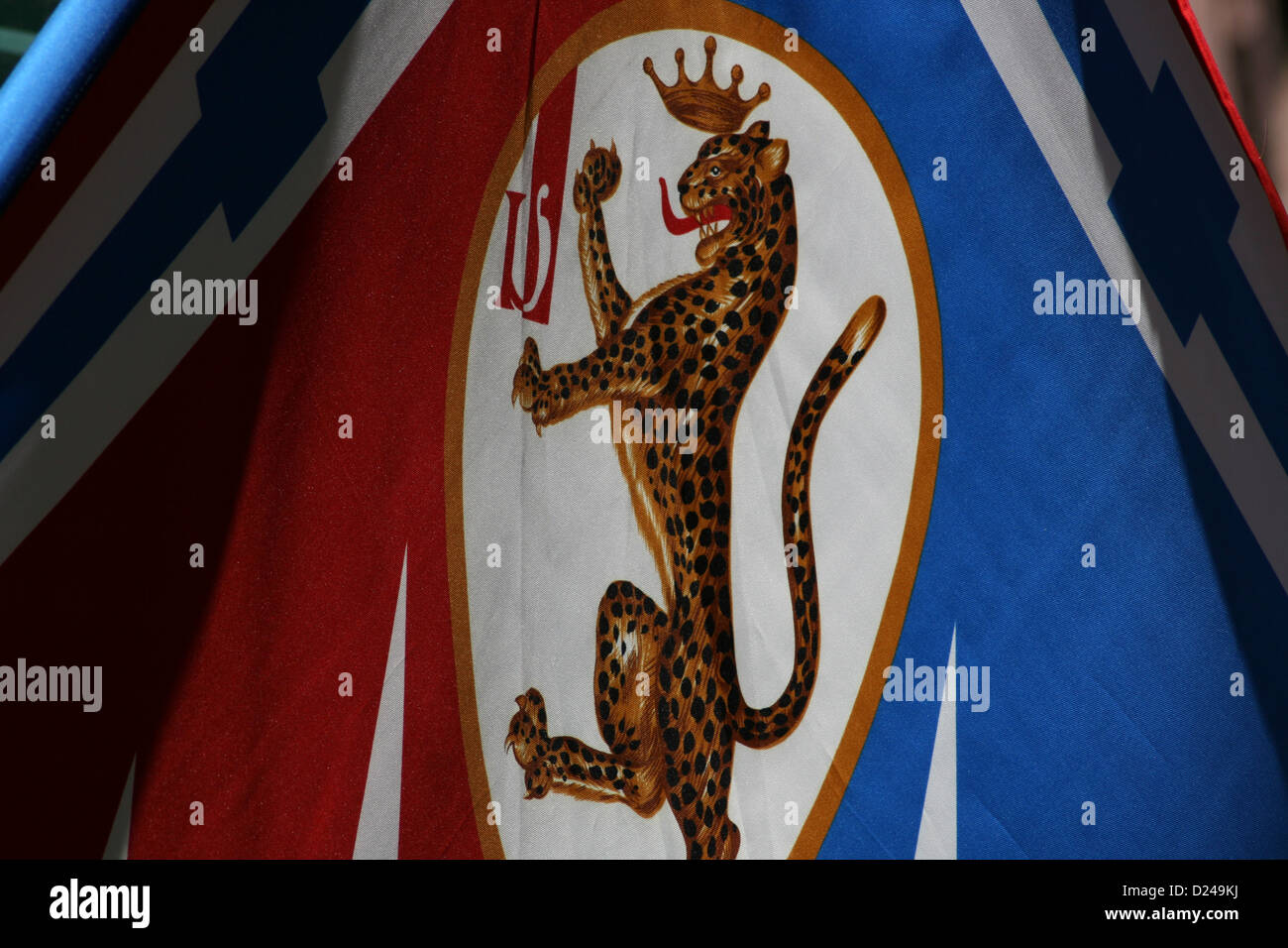 Bearing the flag hi-res stock photography and images - Alamy