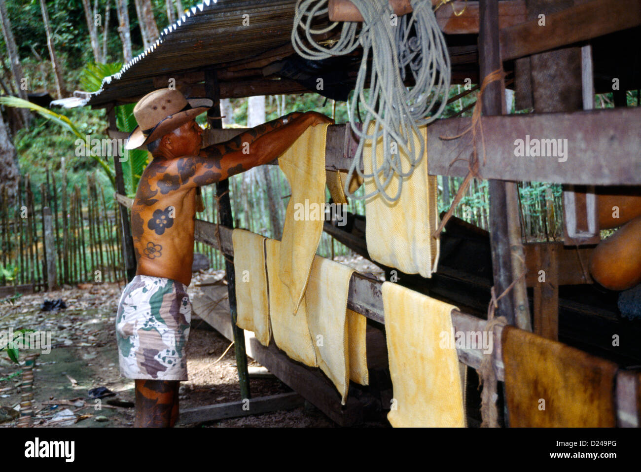 Sarawak Malaysia Iban Man Drying Rubber Stock Photo - Alamy