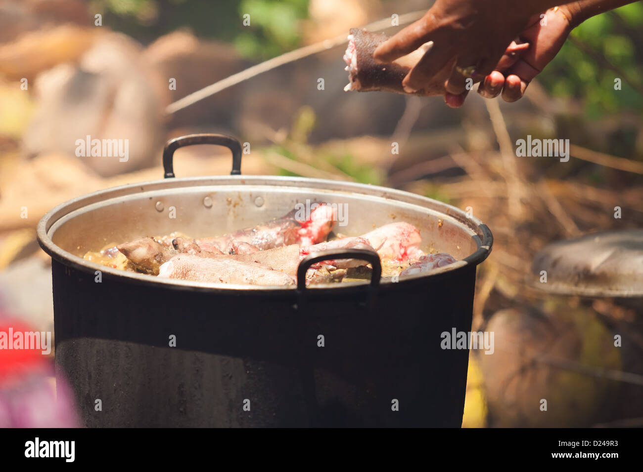 BALI - FEBRUARY 11. Villagers prepare food for wedding ceremony on ...