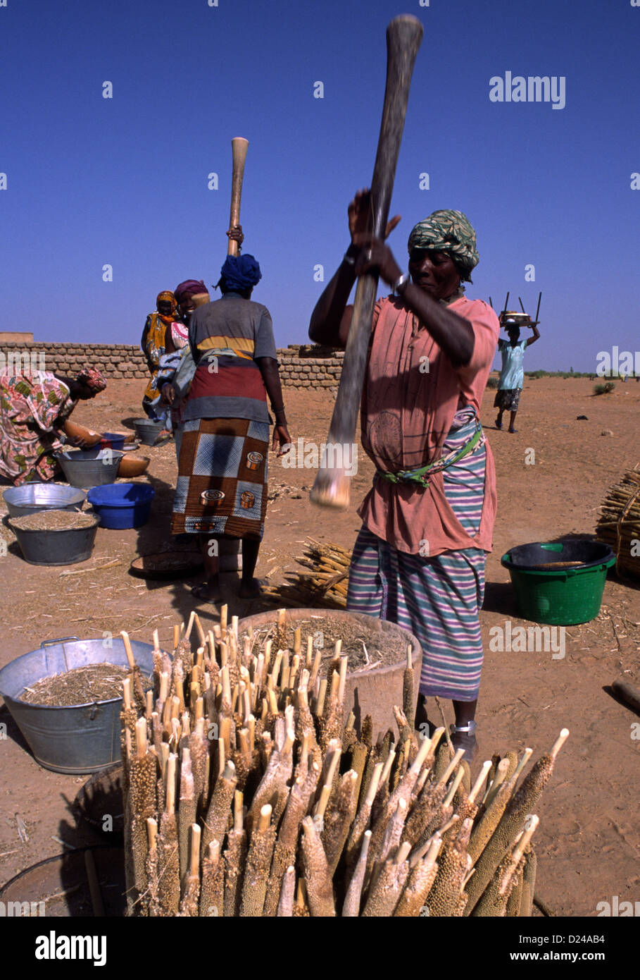 Women working in Mali, West Africa. Pounding the crop of millet - one ...