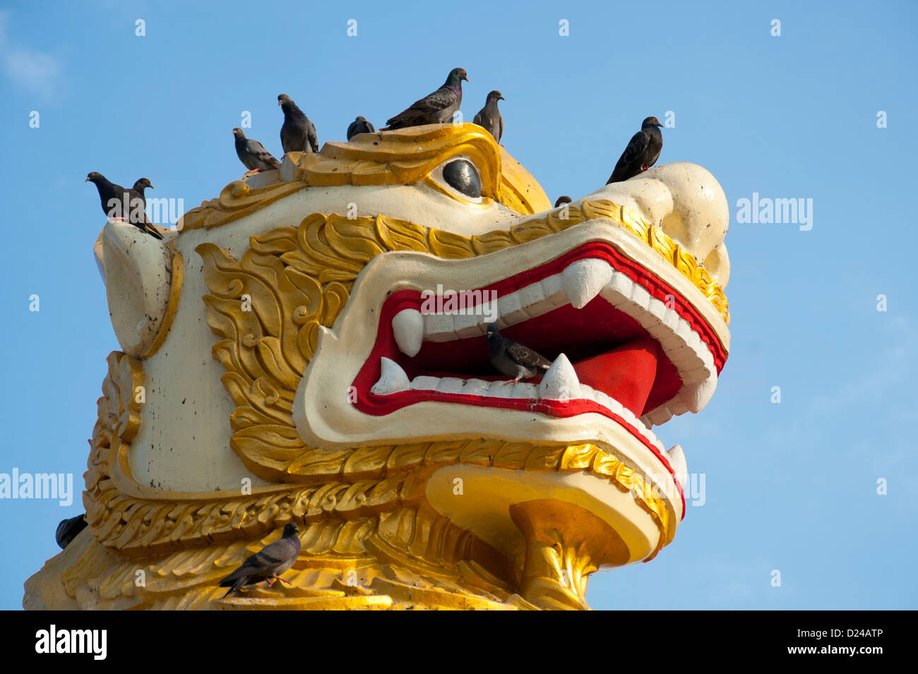 Birds of maha hi-res stock photography and images - Alamy