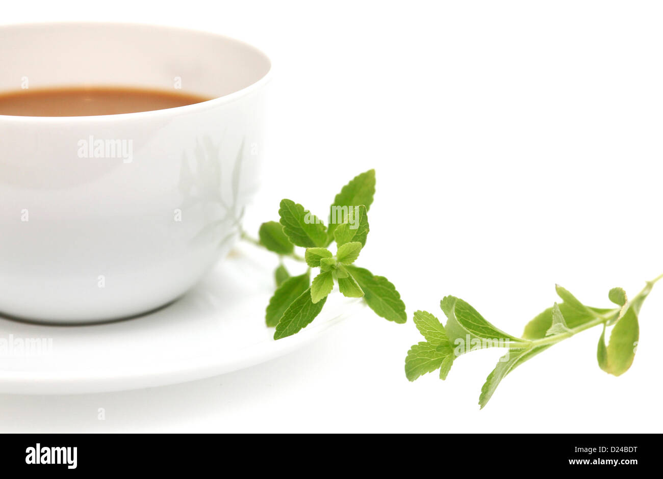 Stevia with coffee cup on white background Stock Photo - Alamy
