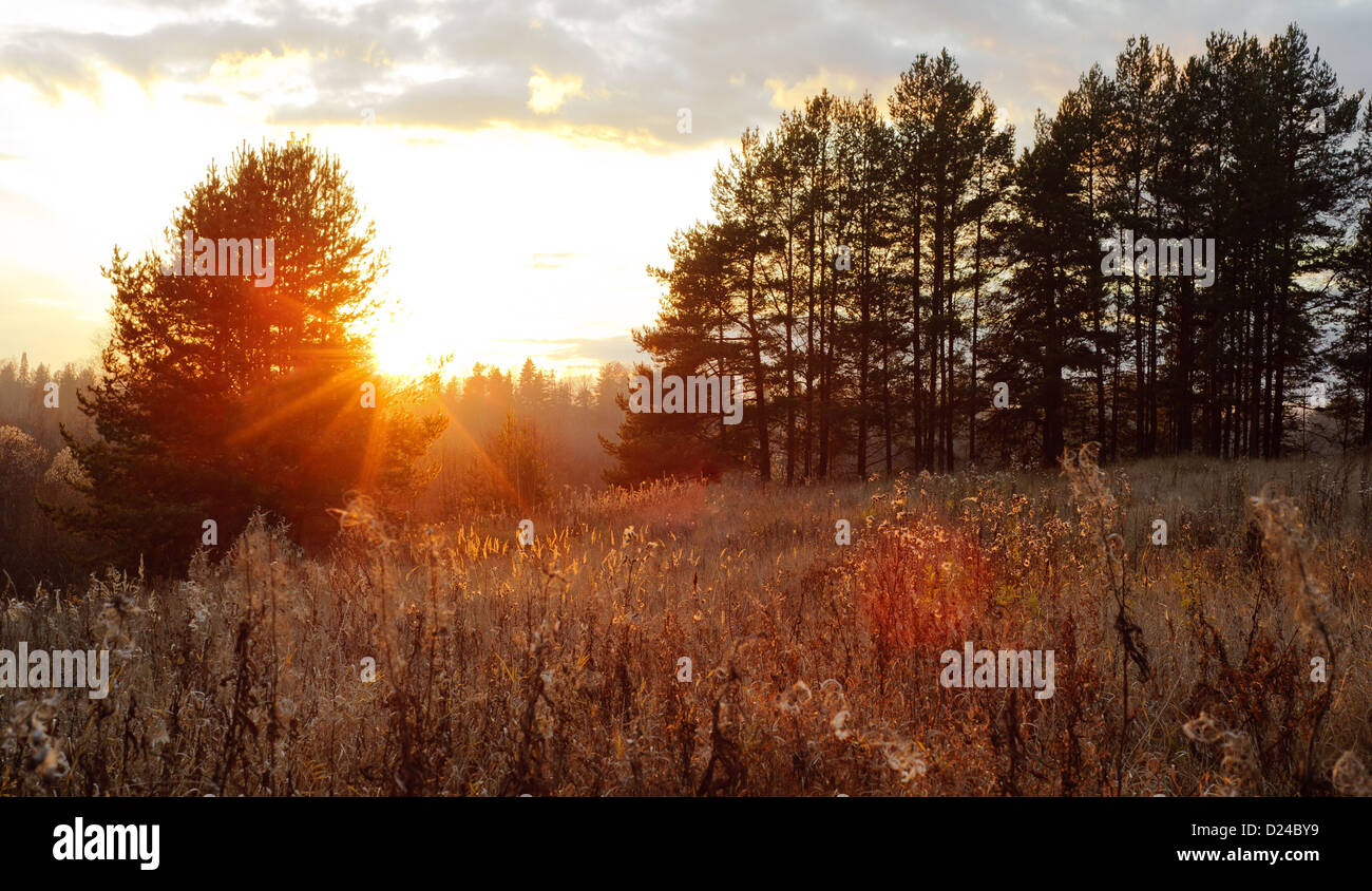 Autumn landscape by the sunrise Stock Photo - Alamy