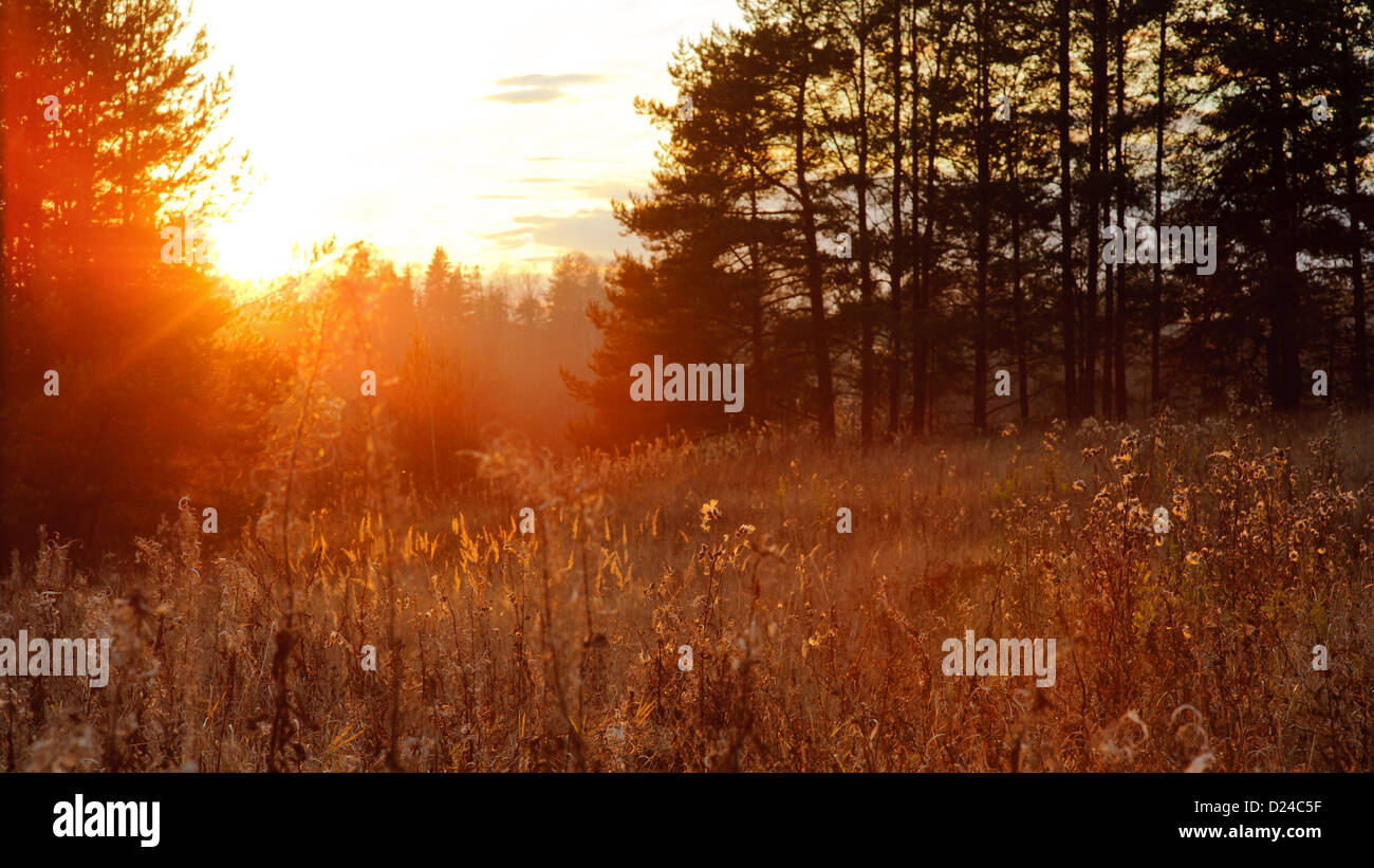 Autumn landscape by the sunrise Stock Photo - Alamy