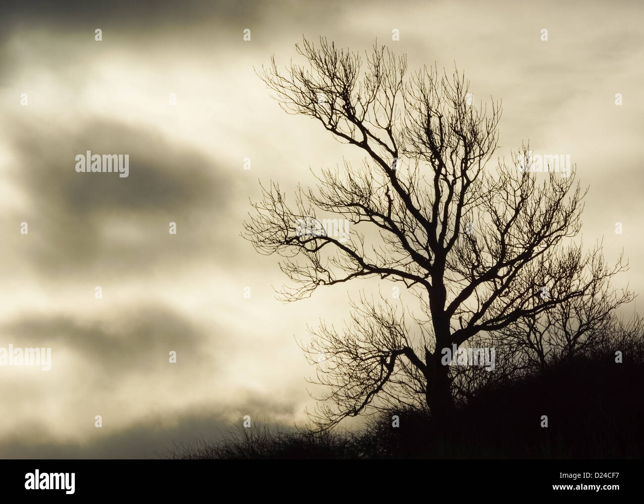 Overcast sky hi-res stock photography and images - Alamy