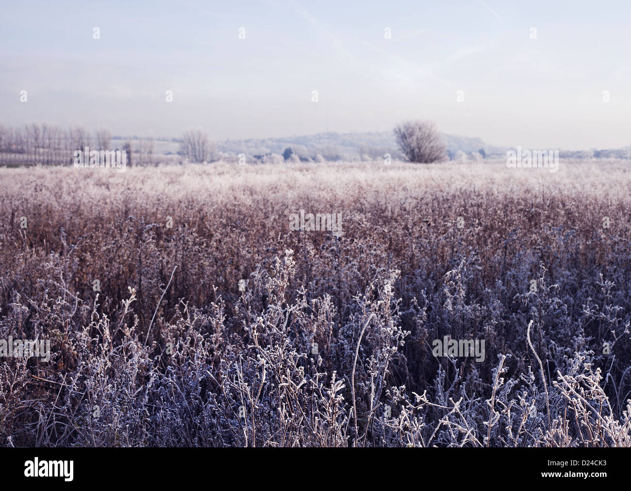 Frosty field hi-res stock photography and images - Alamy