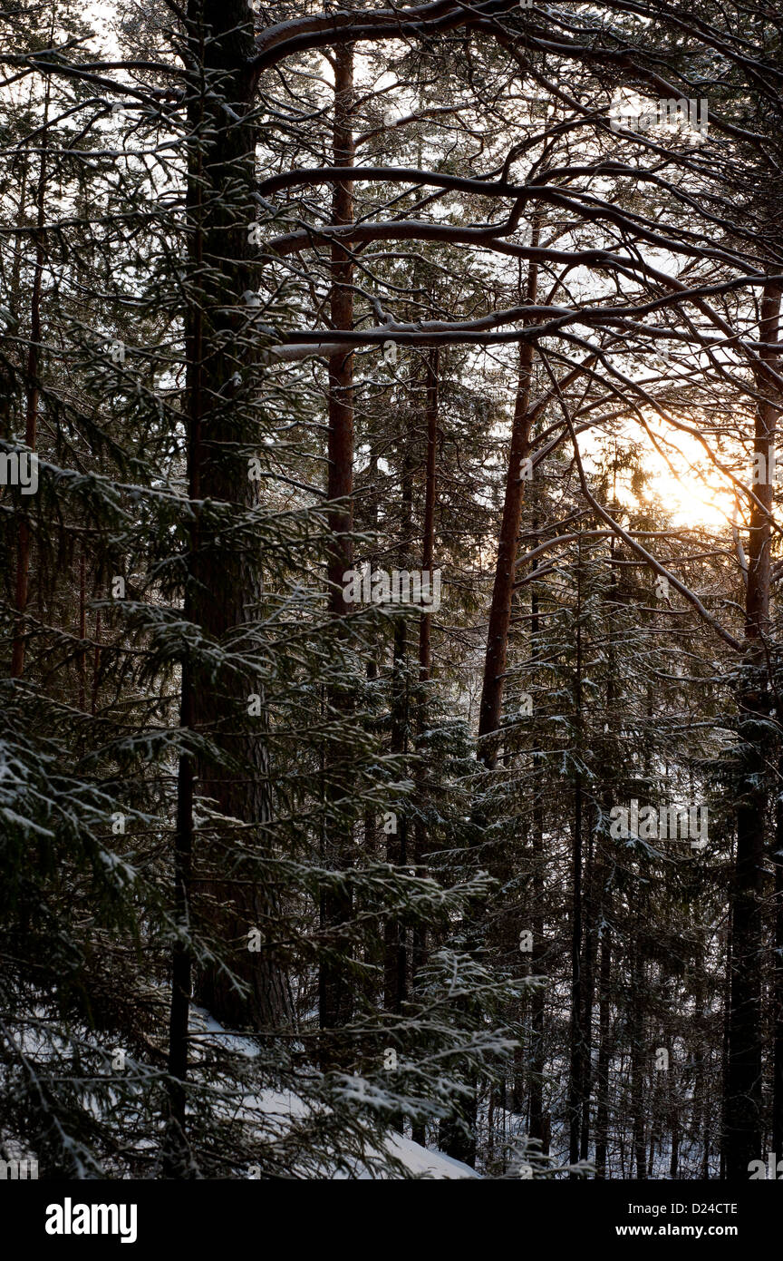 Beautiful wintery landscape Stock Photo - Alamy