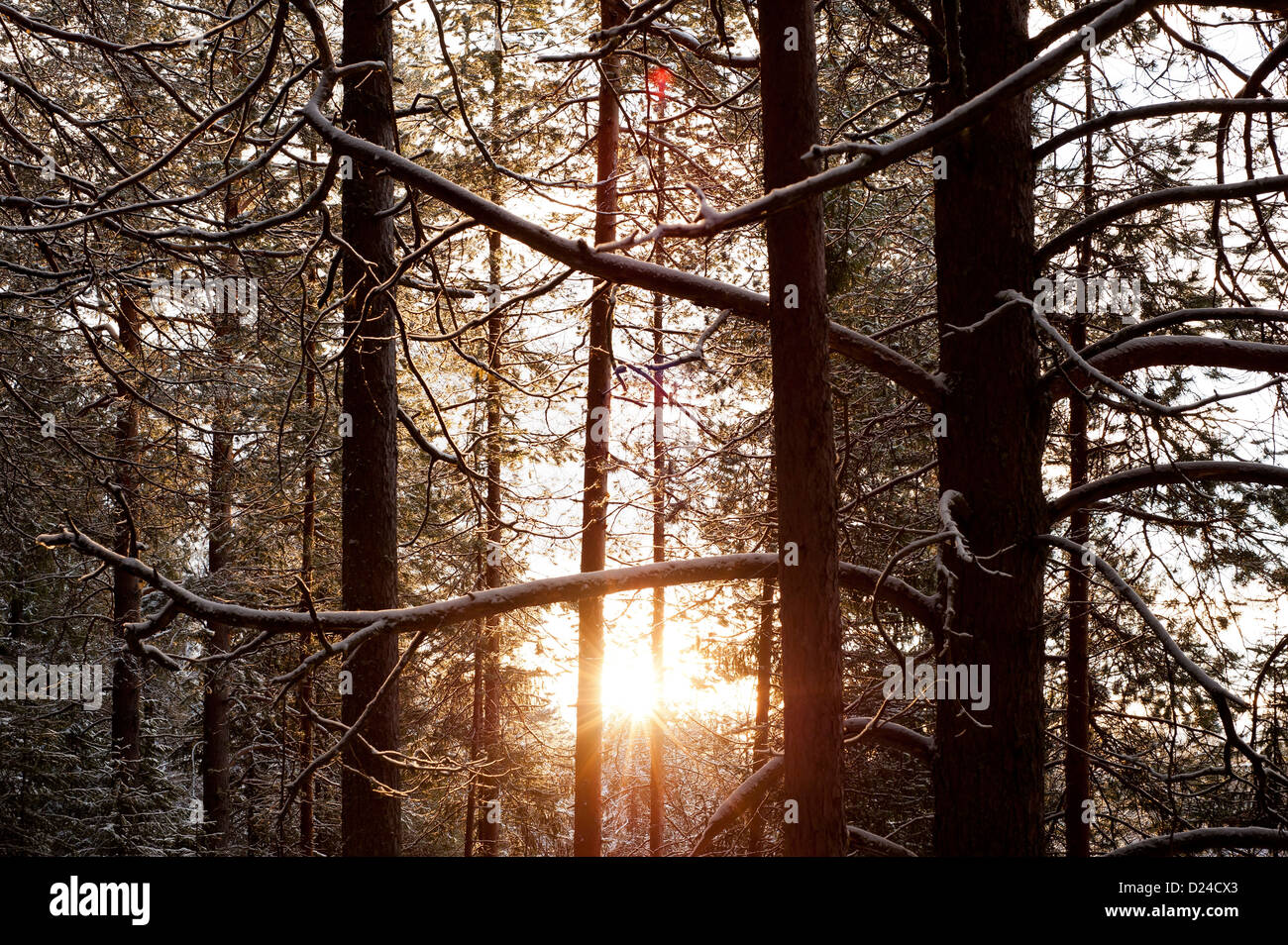 Beautiful wintery landscape Stock Photo - Alamy