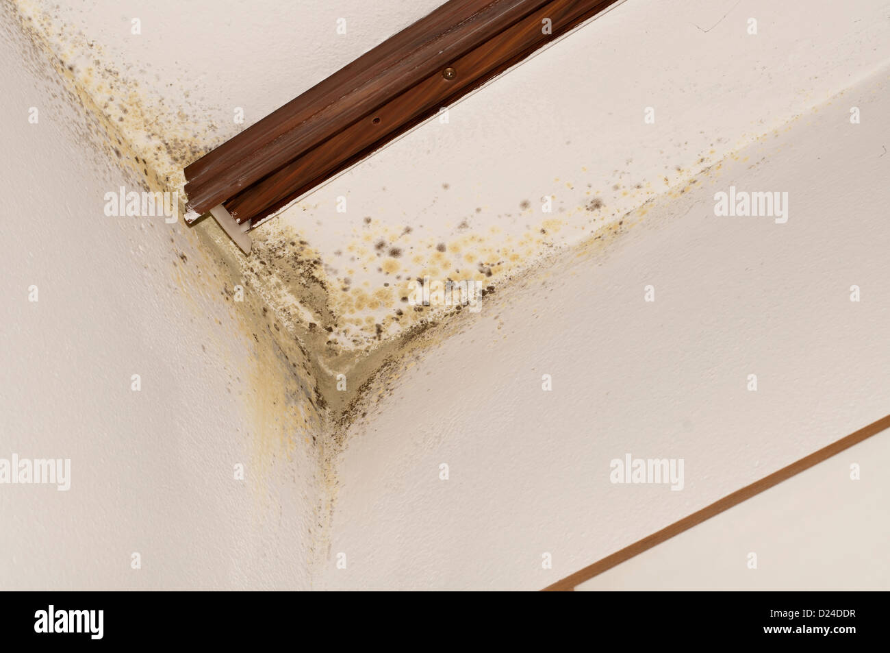 Damp walls hi-res stock photography and images - Alamy