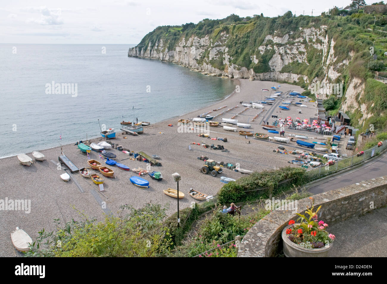 Southwest coast path beer devon hi-res stock photography and images - Alamy