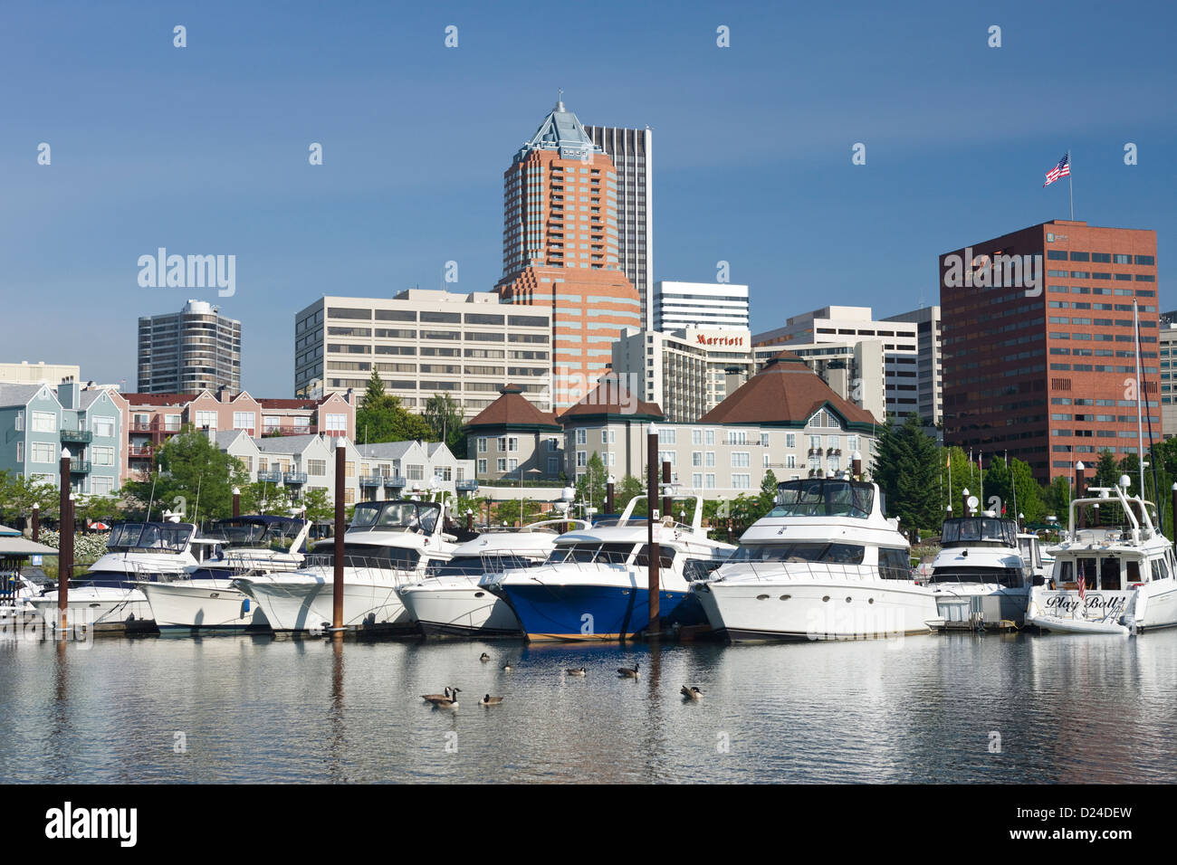 RIVER PLACE MARINA WILLAMETTE RIVER DOWNTOWN SKYLINE PORTLAND OREGON ...