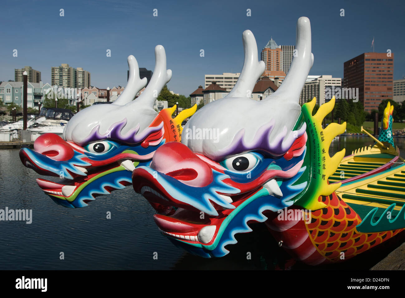 FACES OF DRAGON BOATS RIVER PLACE MARINA WILLAMETTE RIVER DOWNTOWN ...