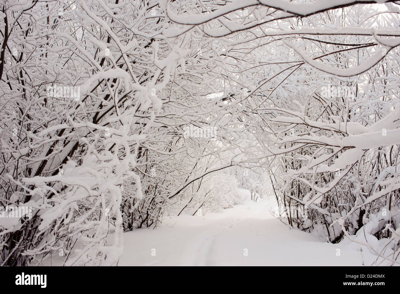 Beautiful wintery landscape Stock Photo - Alamy
