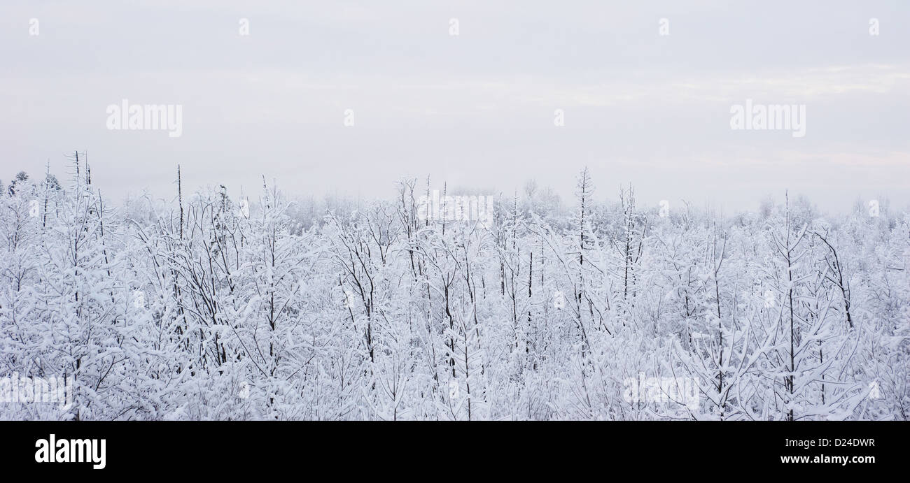 Beautiful wintery landscape Stock Photo - Alamy