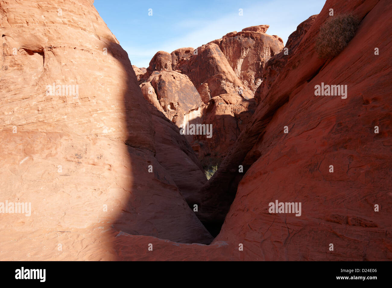 mouse's tank natural basin where rainfall collects at the end of mouses ...