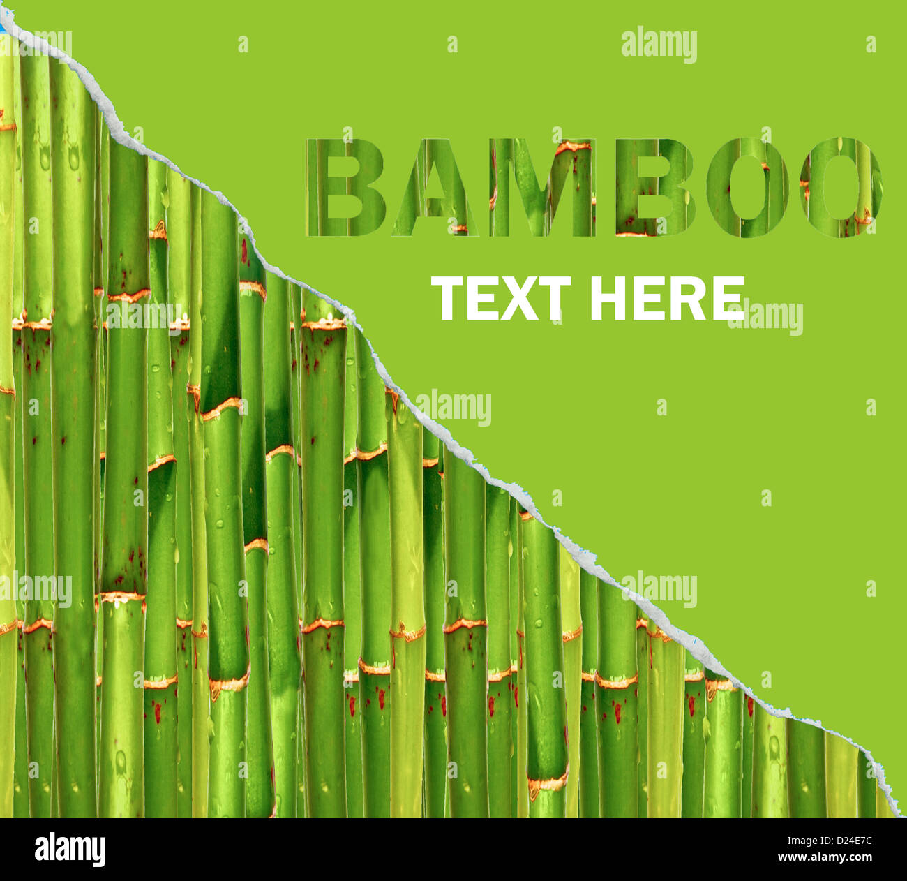Bamboo background with ripped paper Stock Photo - Alamy