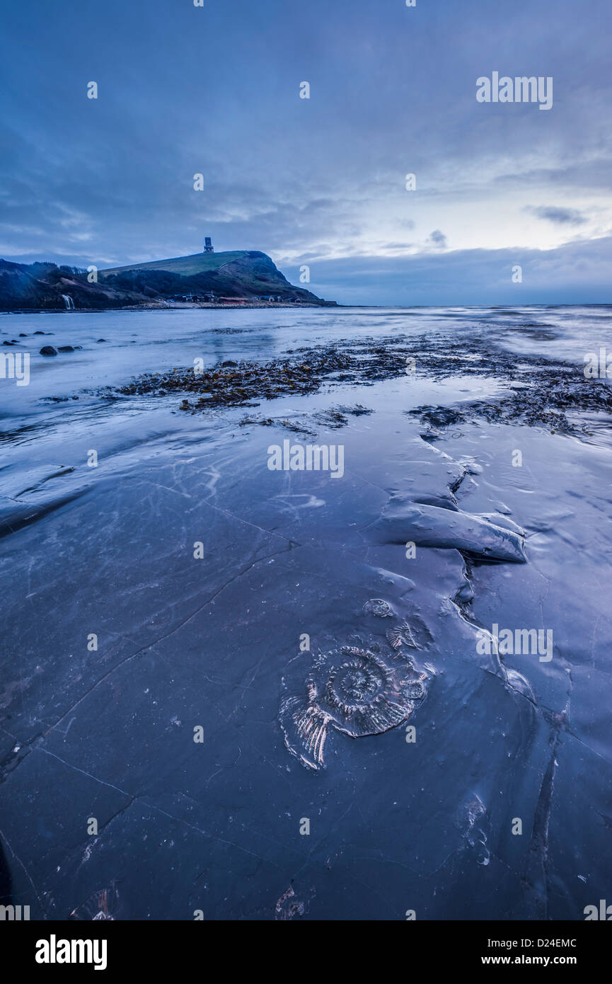 Ammonite tower hi-res stock photography and images - Alamy