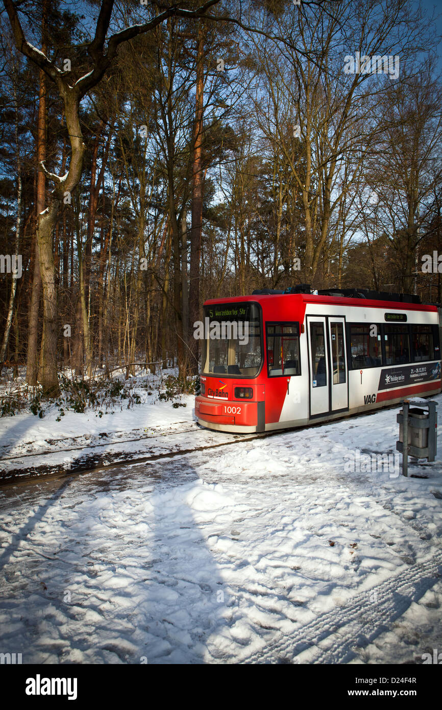 Nuremberg forest hi-res stock photography and images - Alamy
