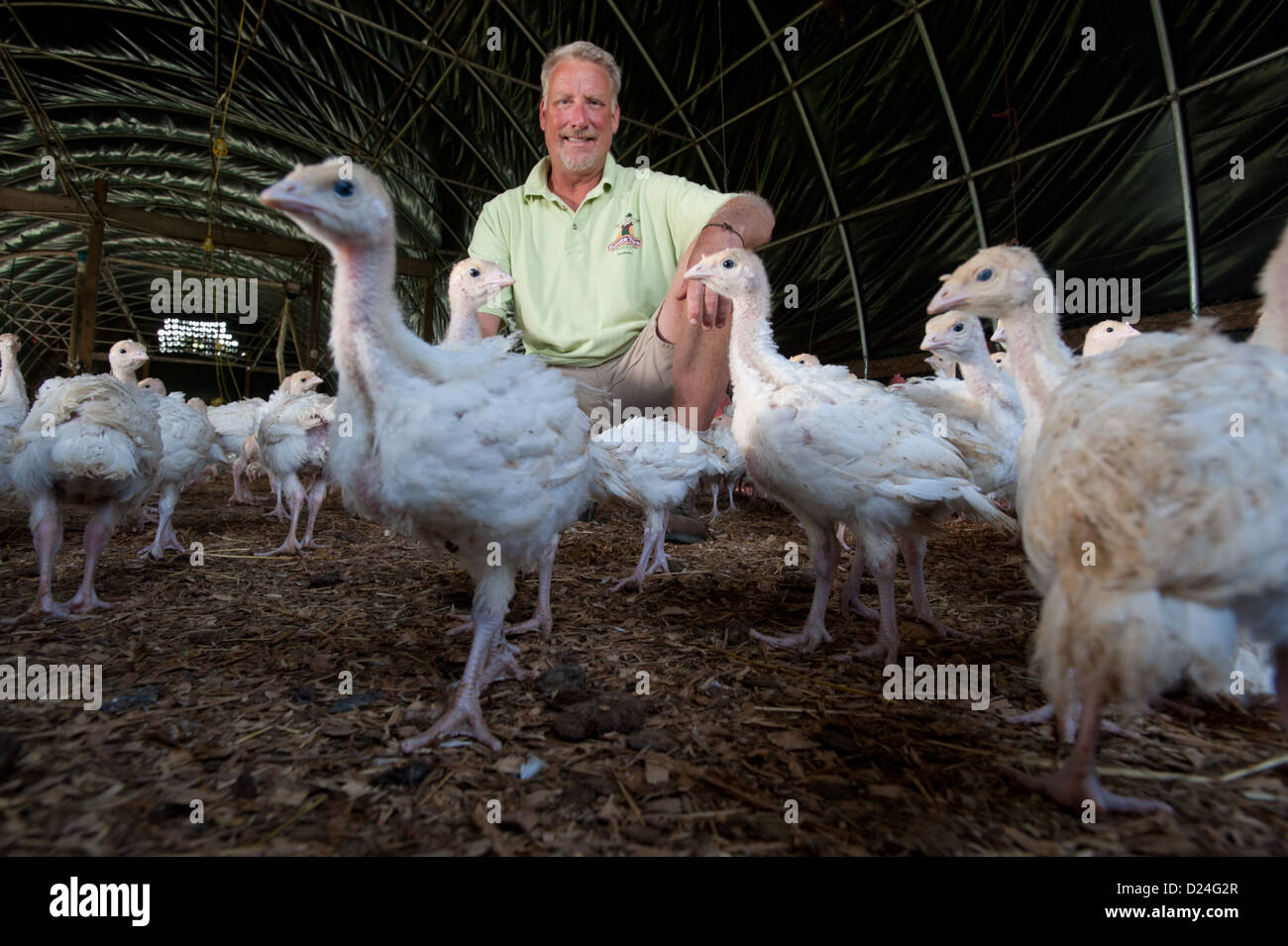 Farmer pen hi-res stock photography and images - Alamy