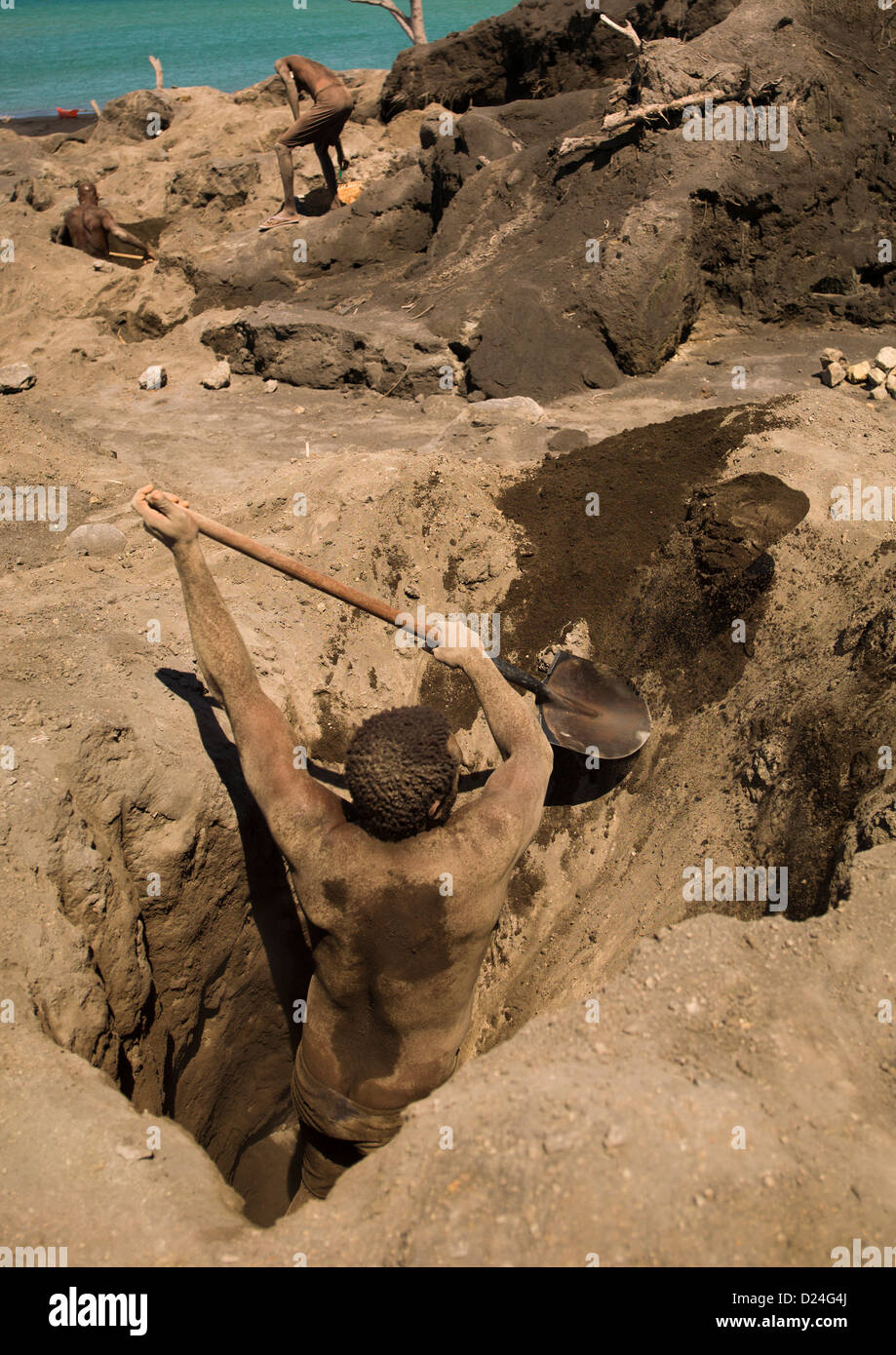 Megapode eggs hi-res stock photography and images - Alamy