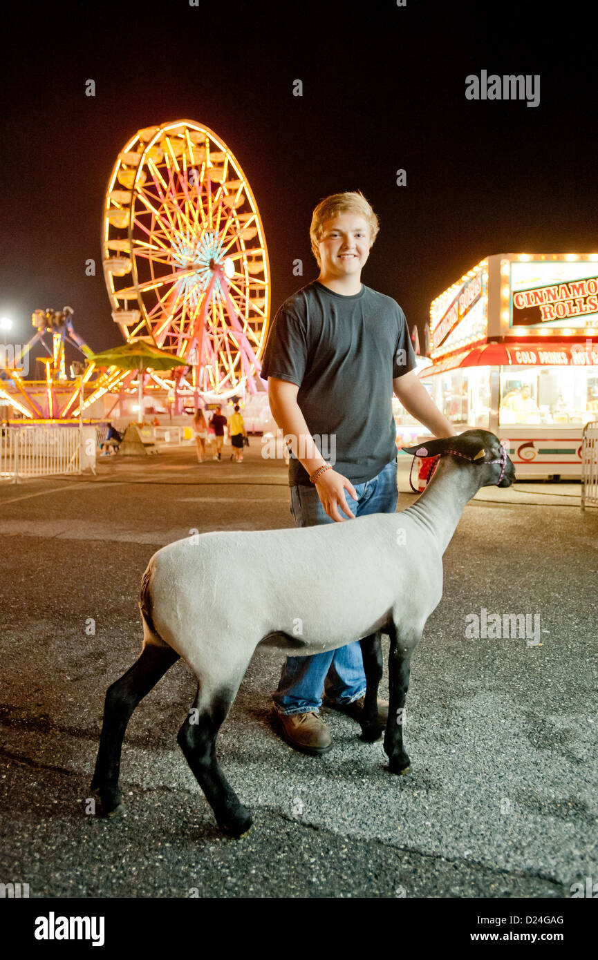 Sheep at the country fair hi-res stock photography and images - Alamy