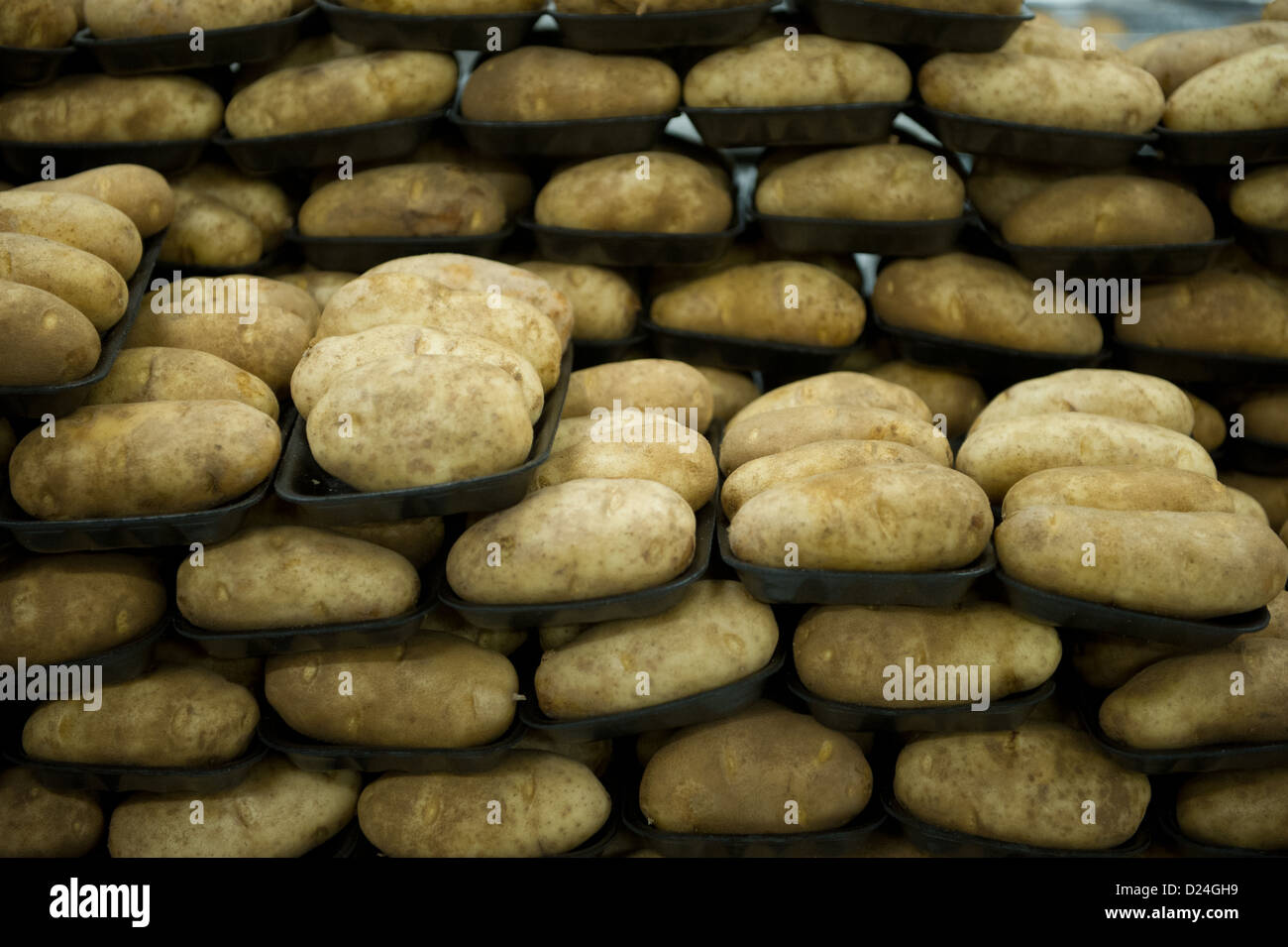 Potatoes on a potato farm Stock Photo - Alamy