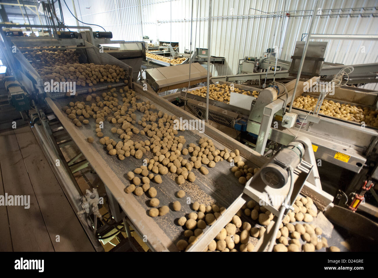 Factory Farm Potatoes High Resolution Stock Photography and Images - Alamy