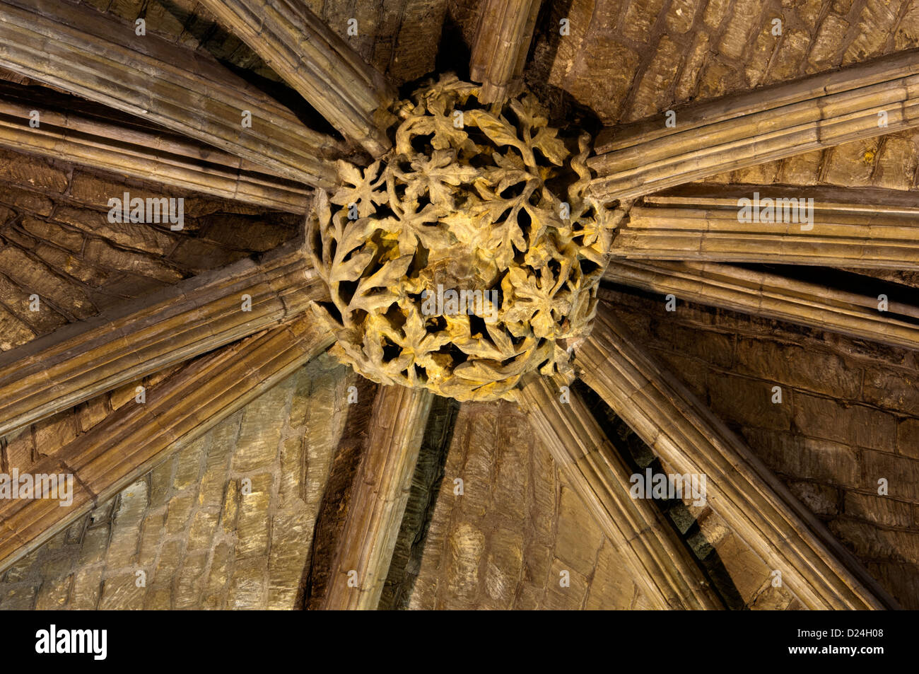 Roof boss hi-res stock photography and images - Alamy