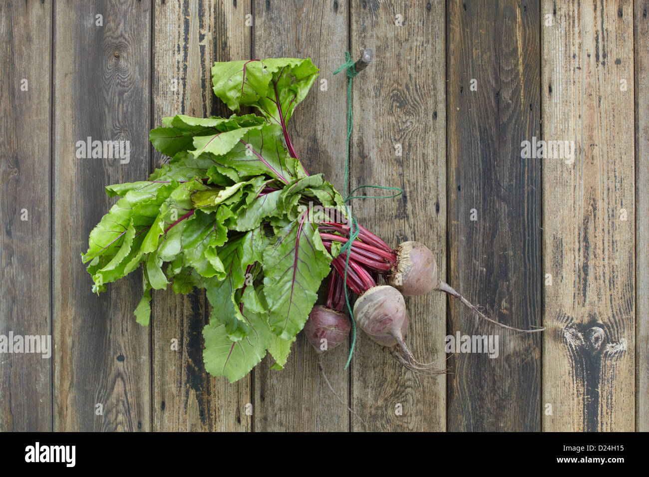 A bunch of beetroot hanging up Stock Photo - Alamy