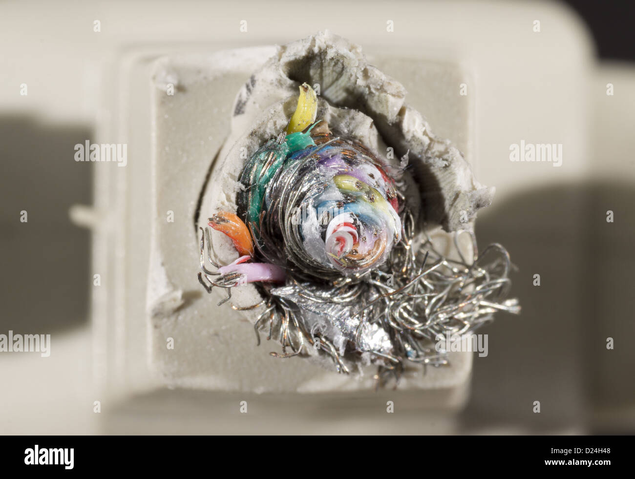 Severed wire hi-res stock photography and images - Alamy