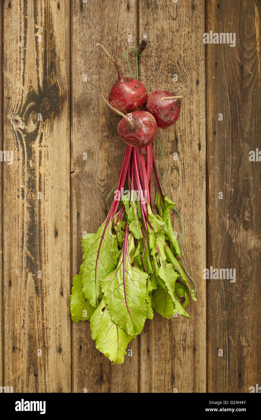 A bunch of beetroot hanging up Stock Photo - Alamy