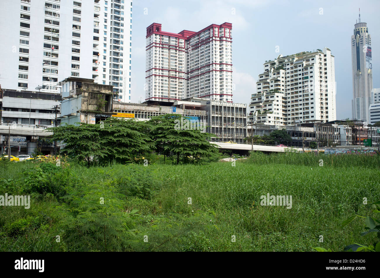 Open space or vacant overgrown lots amongst office building in downtown ...