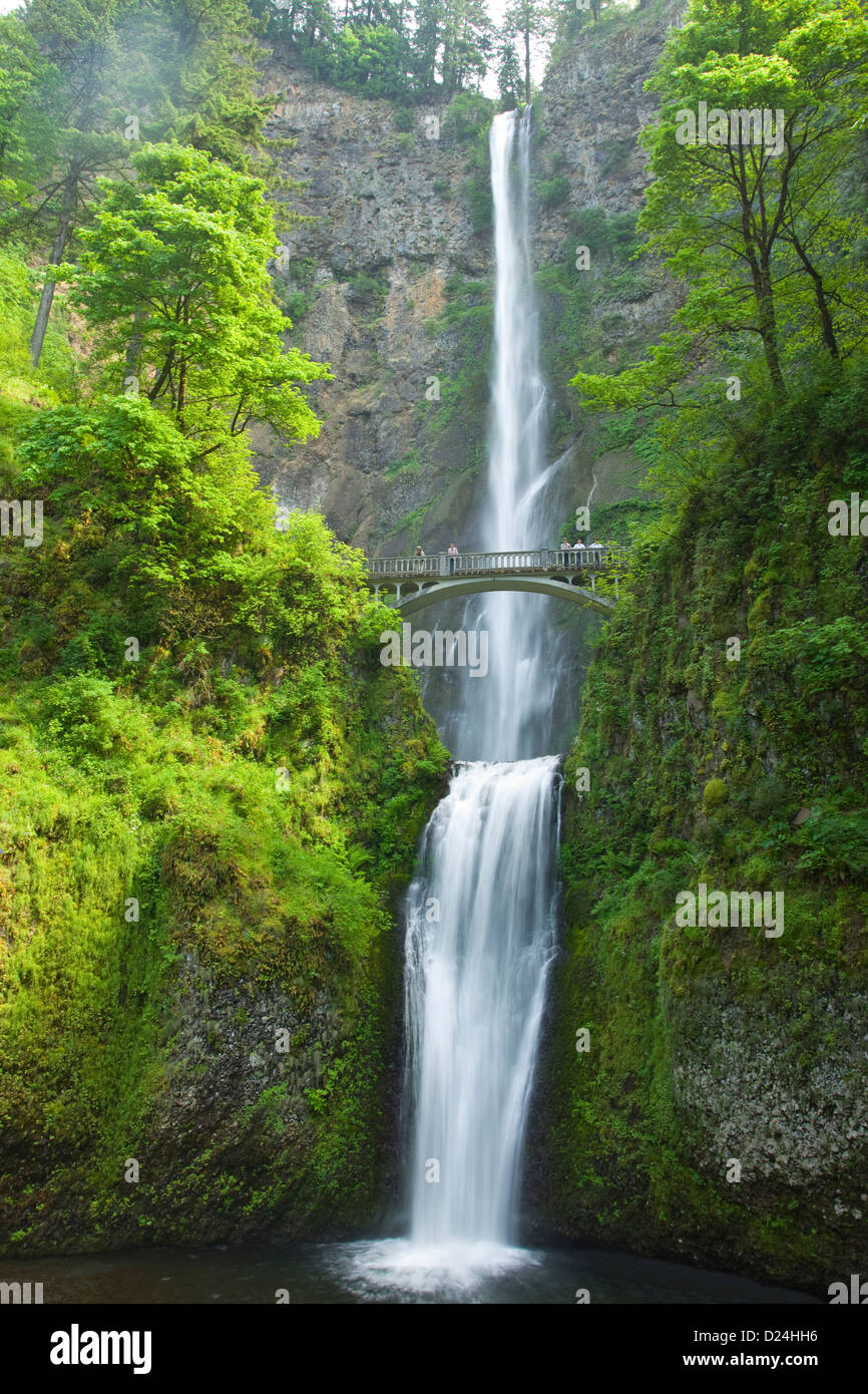FOOTBRIDGE MULTNOMAH WATERFALLS lLARCH MOUNTAIN COLUMBIA RIVER GORGE ...