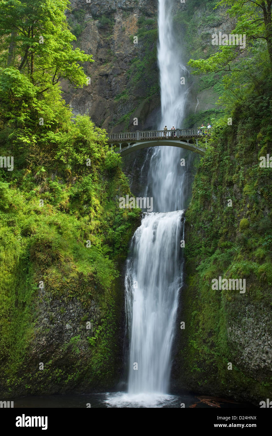 FOOTBRIDGE MULTNOMAH WATERFALLS lLARCH MOUNTAIN COLUMBIA RIVER GORGE ...