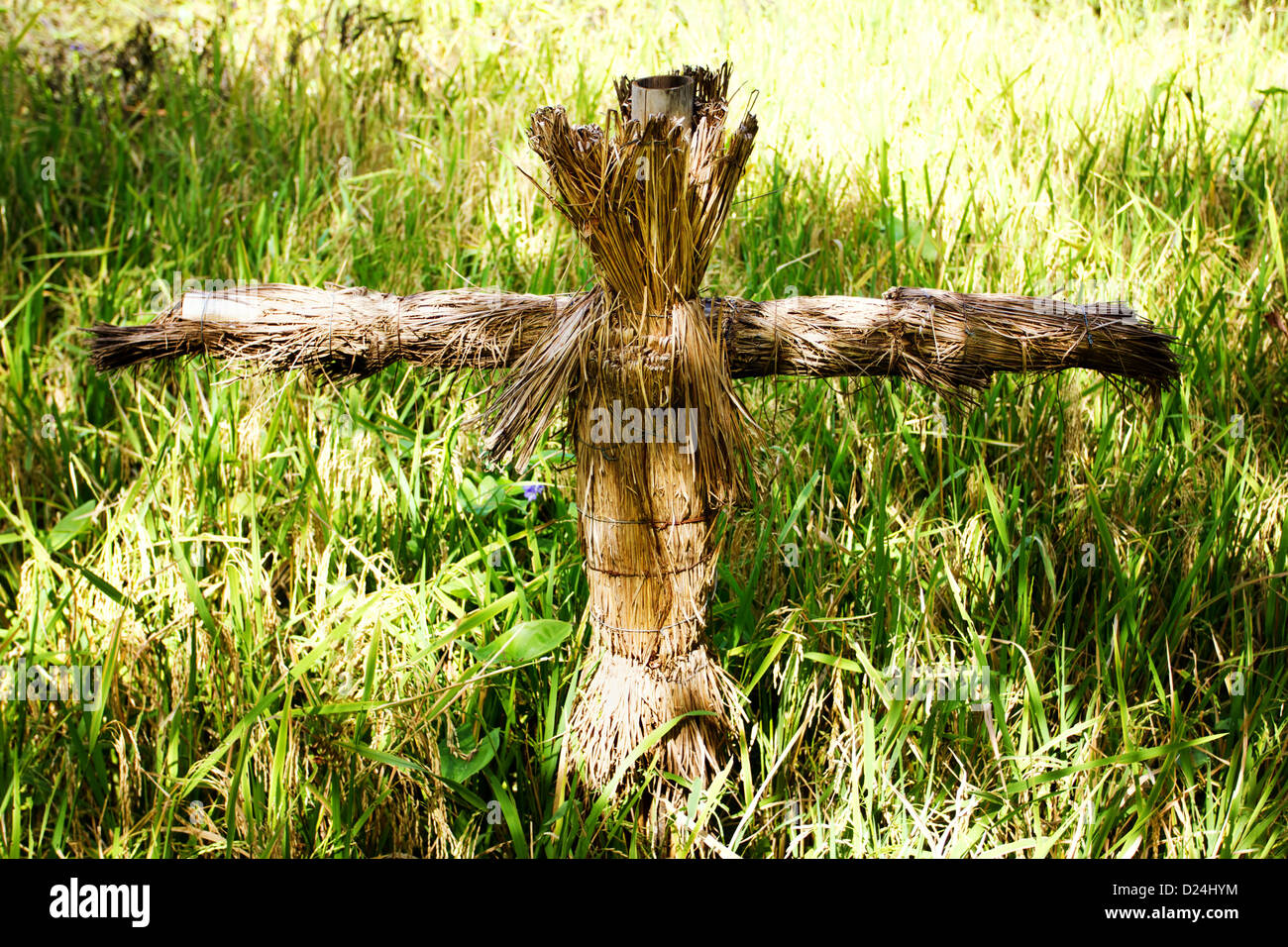 Scarecrow in a grass, made from a straw Stock Photo - Alamy