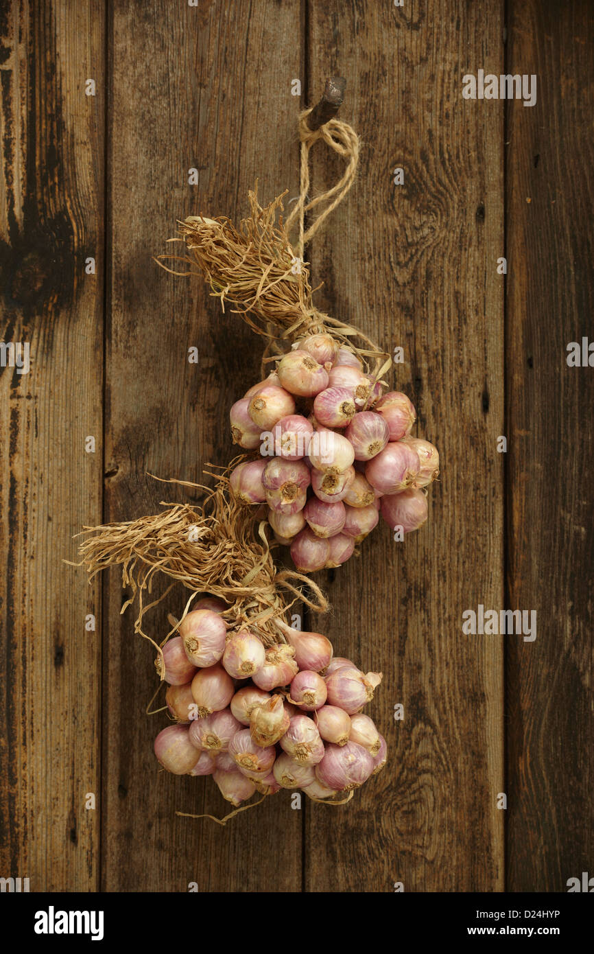 Two bunches of shallots hanging up Stock Photo - Alamy