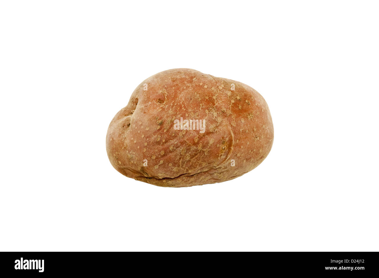 one potato isolated on a white background Stock Photo - Alamy