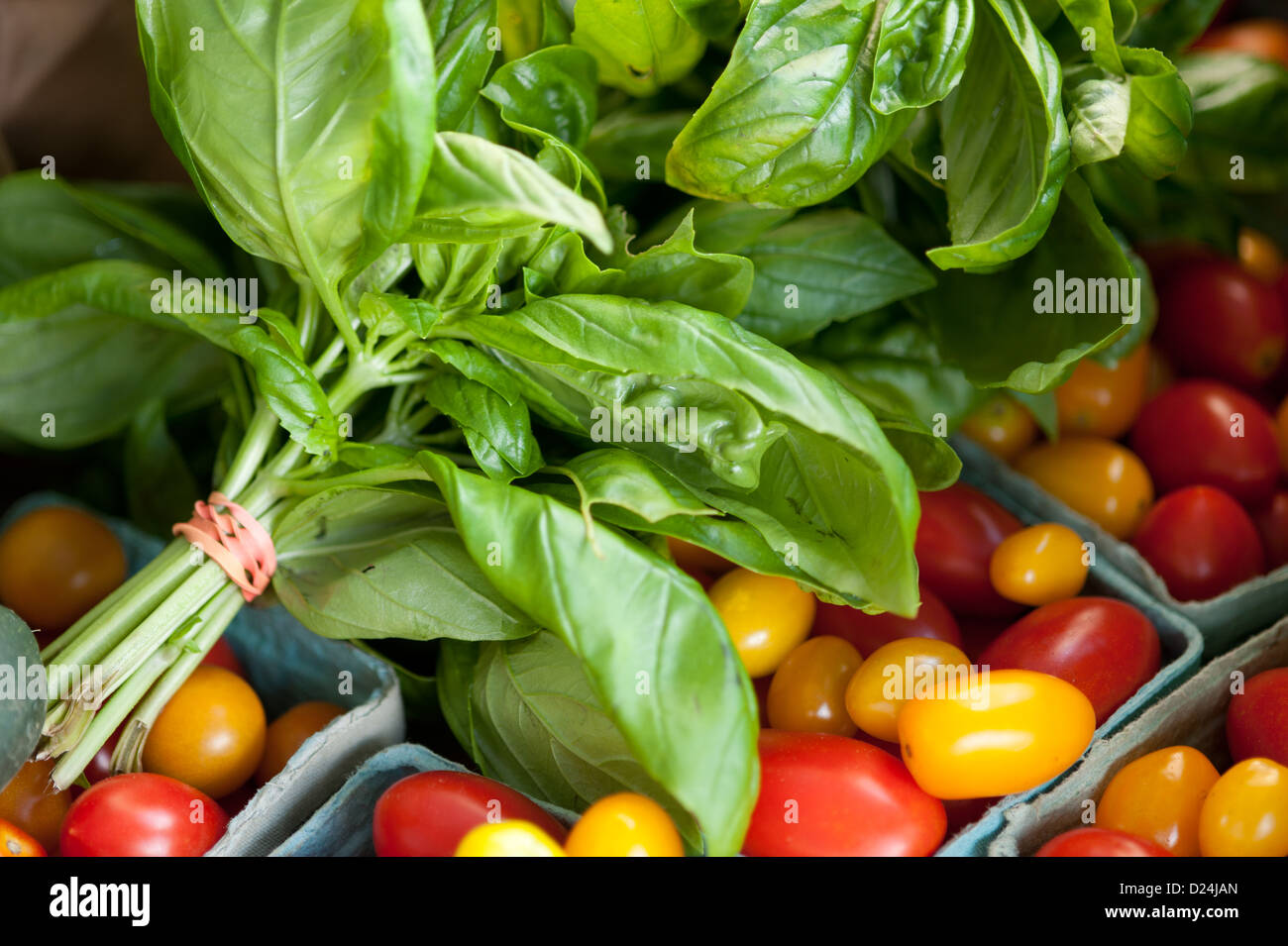Produce at a Farmers Market Stock Photo - Alamy
