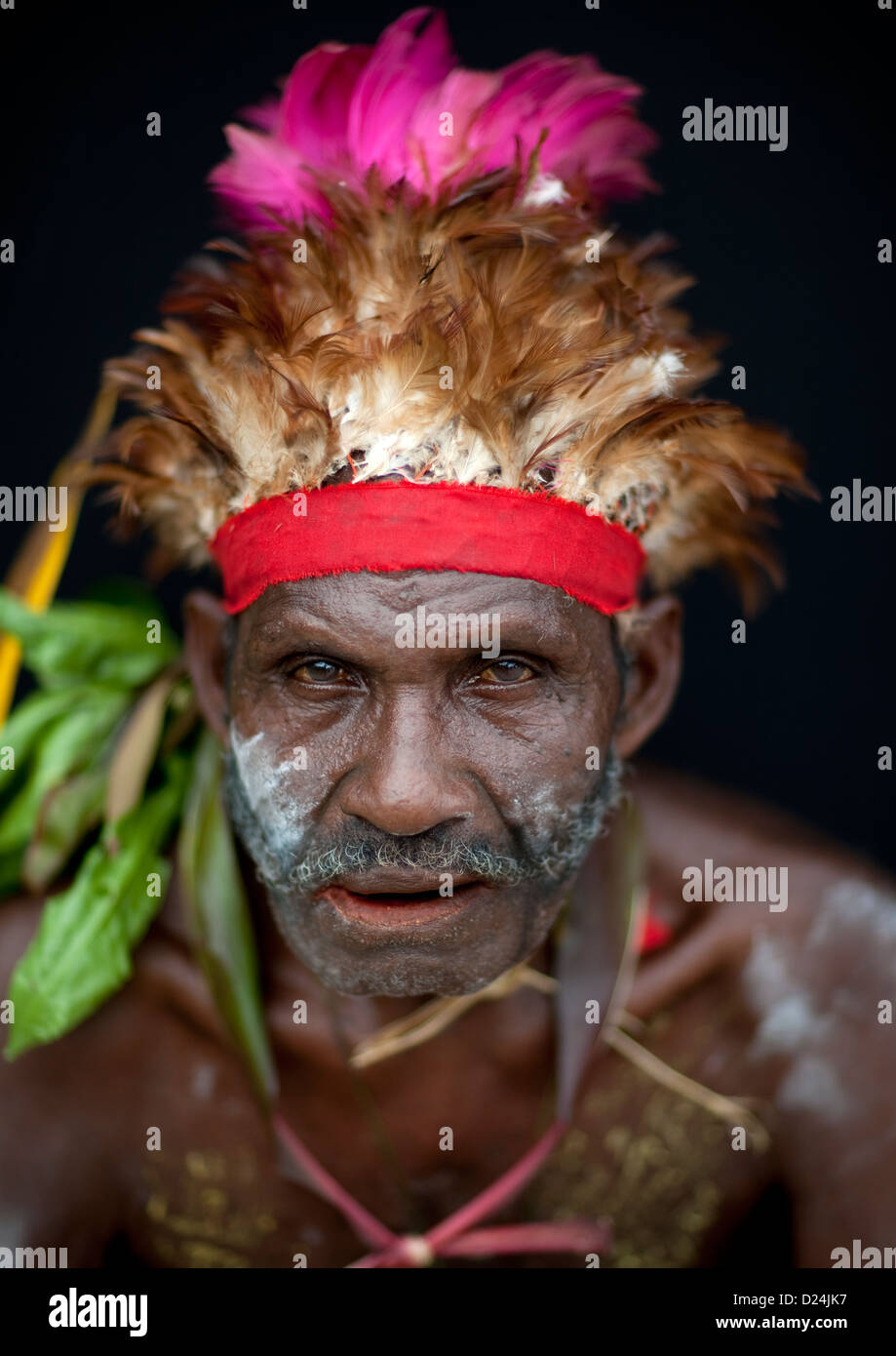 Papua new guinea tribe hi-res stock photography and images - Alamy