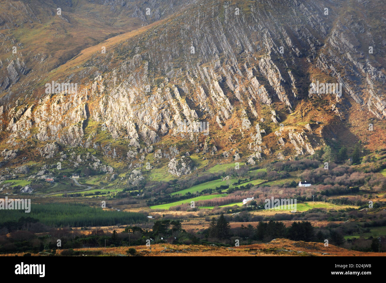 John gollop hi-res stock photography and images - Alamy
