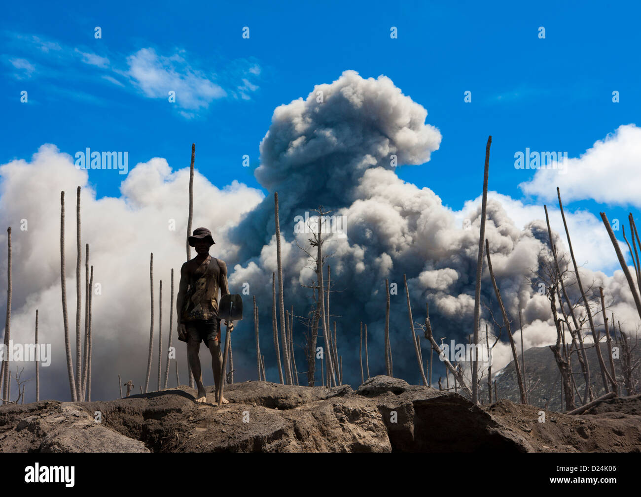 Megapode eggs hi-res stock photography and images - Alamy