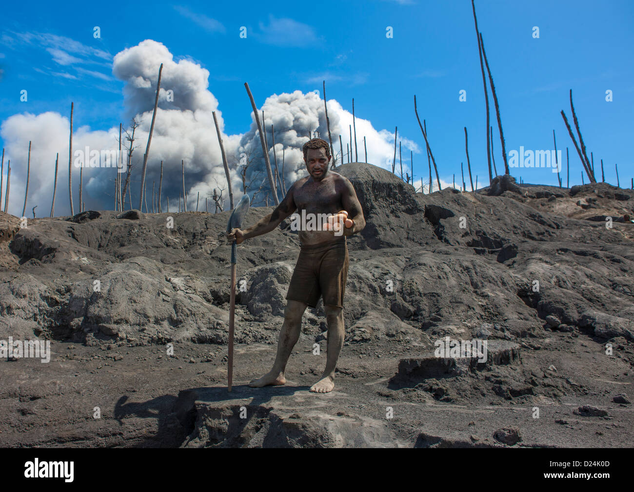 Man Digging To Find Megapode Birds Eggs In Tavurvur Volcano Sands ...
