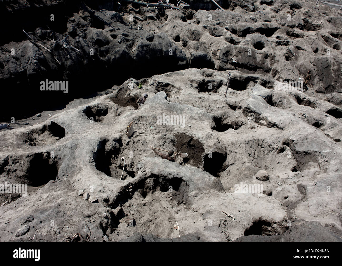 Men Digging To Find Megapode Birds Eggs In Tavurvur Volcano Sands ...