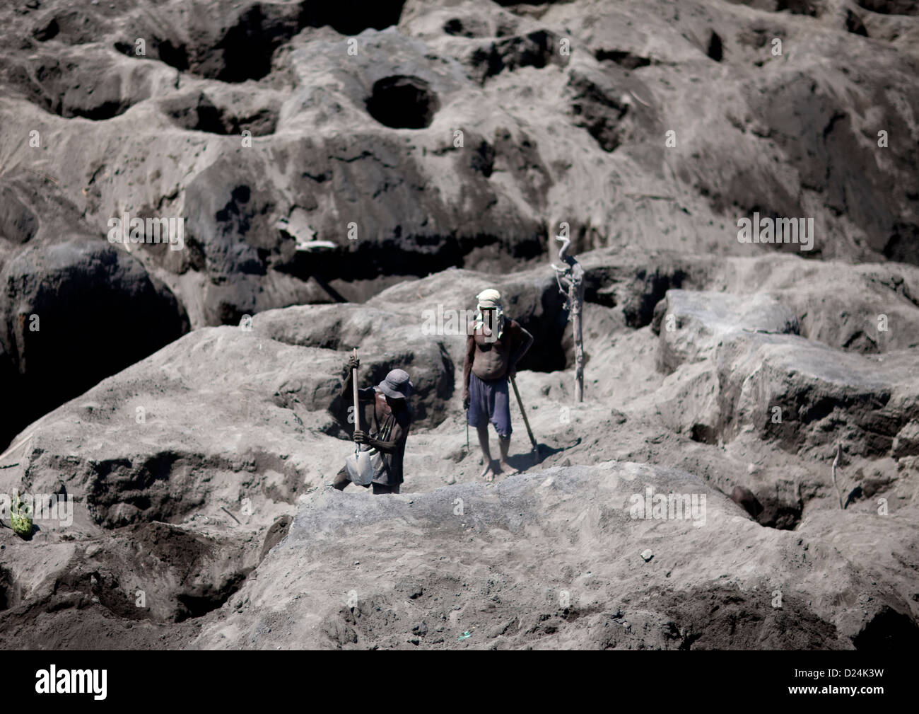 Man Digging To Find Megapode Birds Eggs In Tavurvur Volcano Sands ...