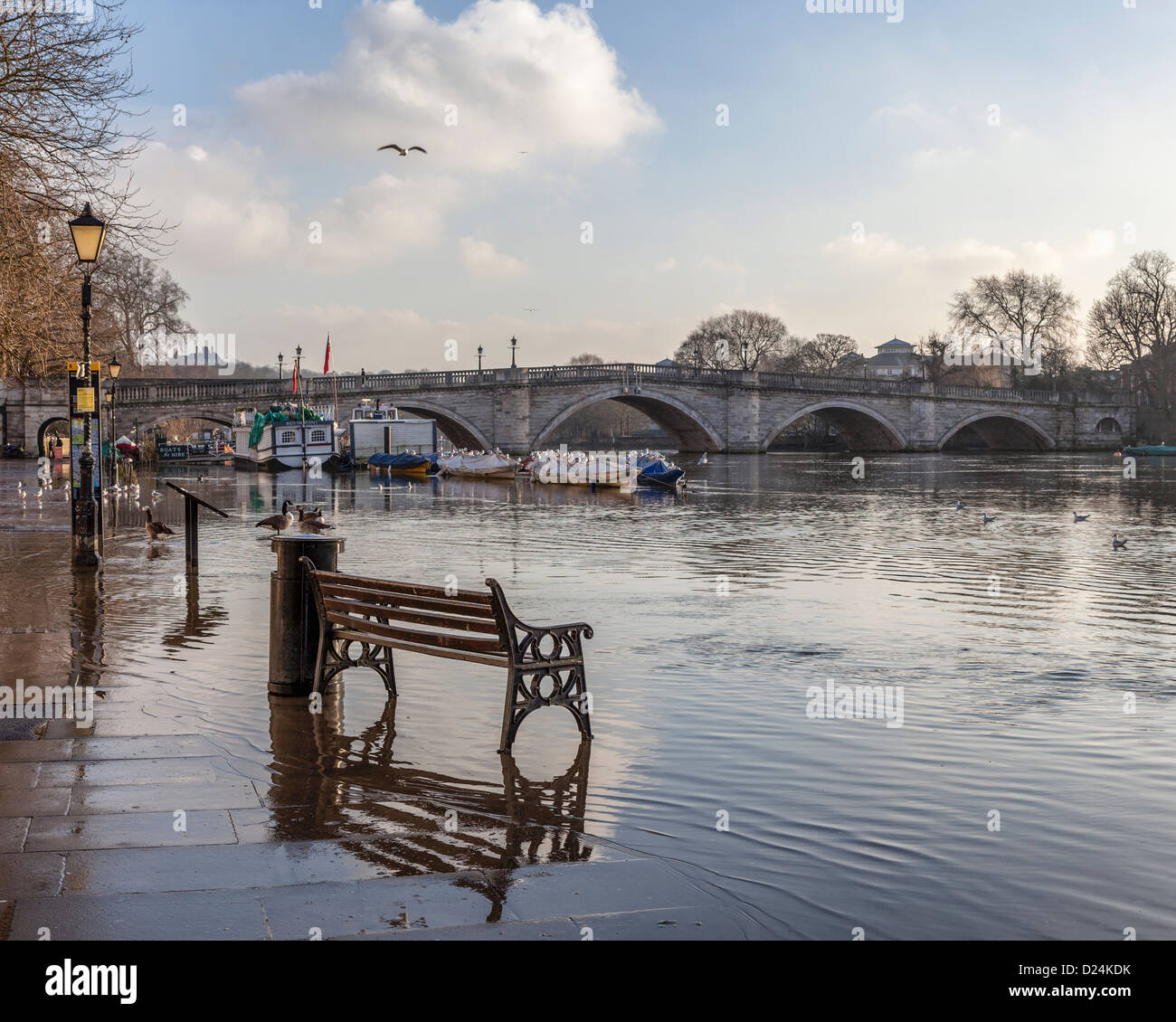 Water flows onto the banks of the Thames as the tide rises - Richmond ...