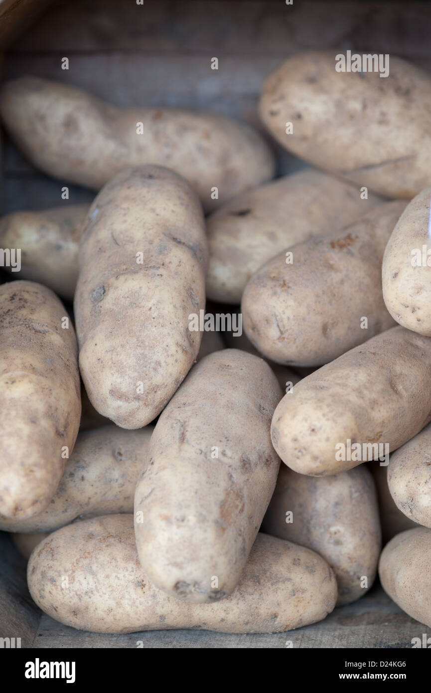 Farmers potatoes hi-res stock photography and images - Alamy