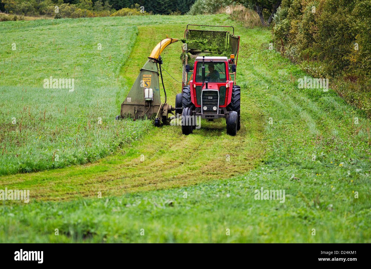 Arctic agriculture hi-res stock photography and images - Alamy