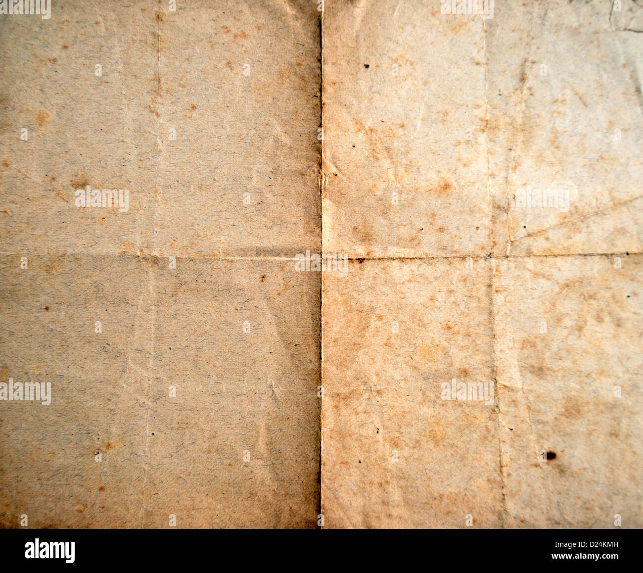 Unfolded Paper Texture